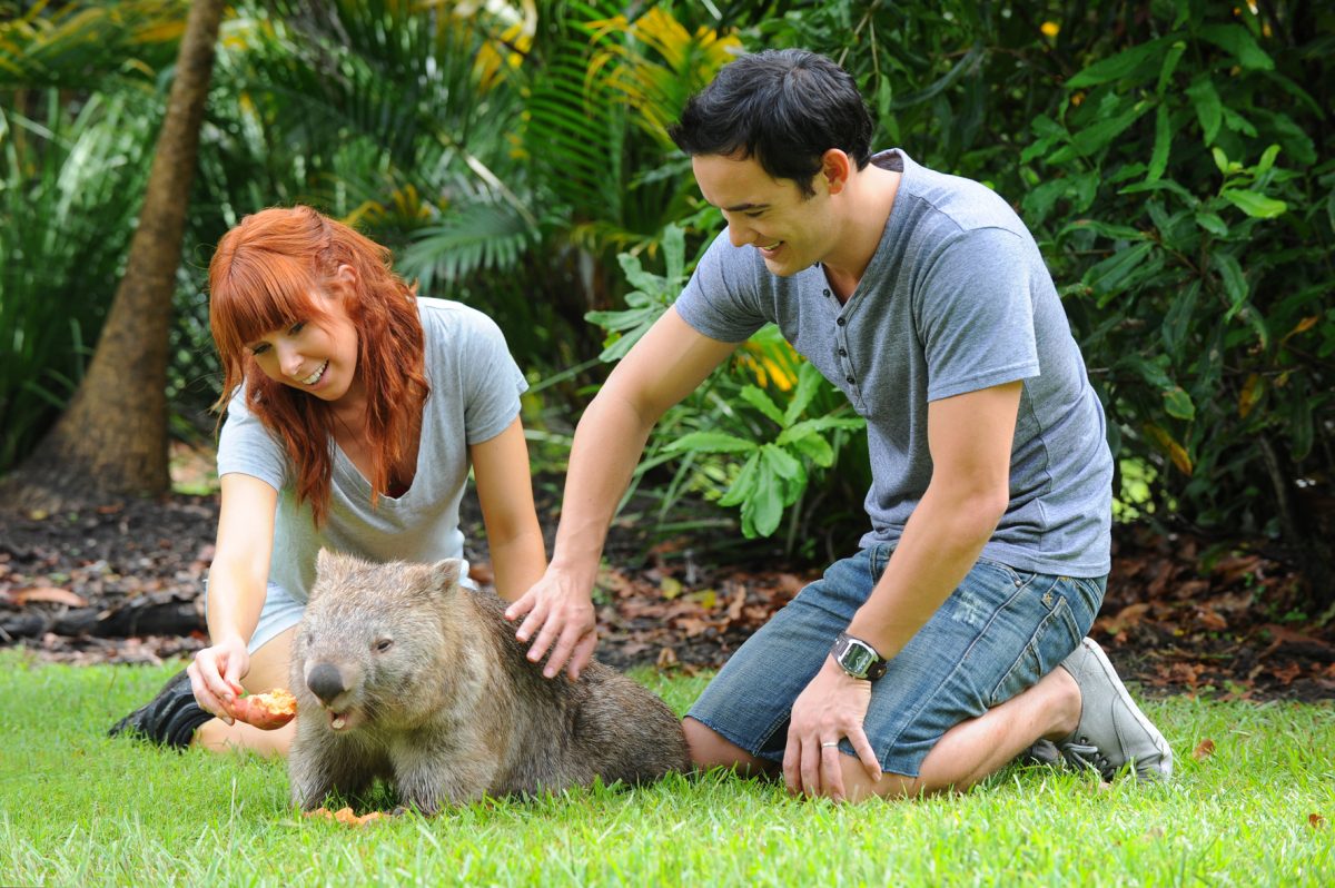 Book Your Australia Zoo Ultimate Tour Adventure